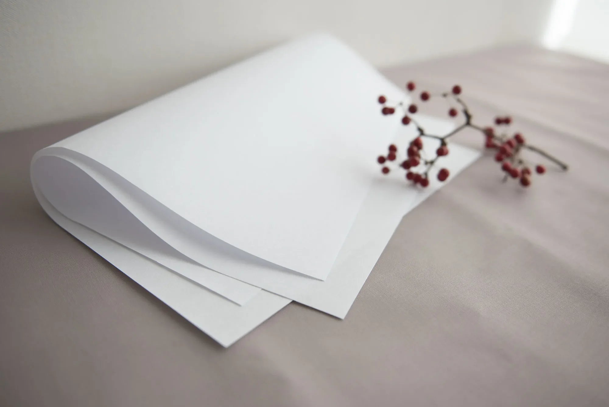 Housho Paper (Traditional Japanese Paper) – Shoyu Calligraphy Shop